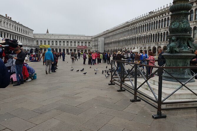 3-hour Best of Venice Highlights Private Walking Tour