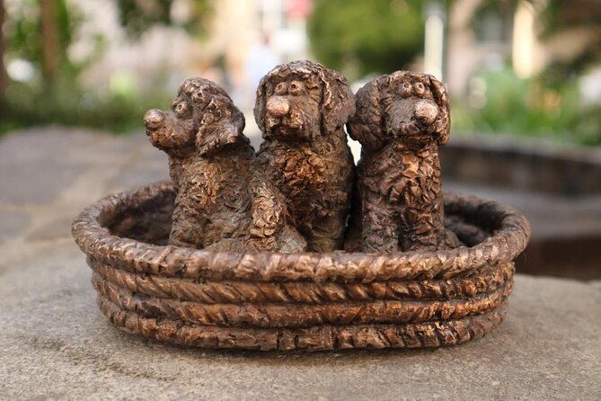 20 Dog-statues in Budapest - a unique tour - The Practical Side: What to Expect