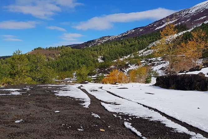 5-Hour Mount Etna Mountain Biking Tour - Who Should Consider This Tour?