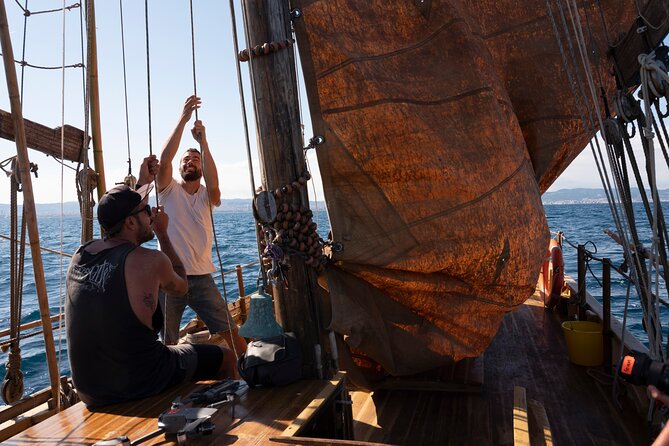 8-Hour Whale Watching in Barcelona - Hands-On Sailing