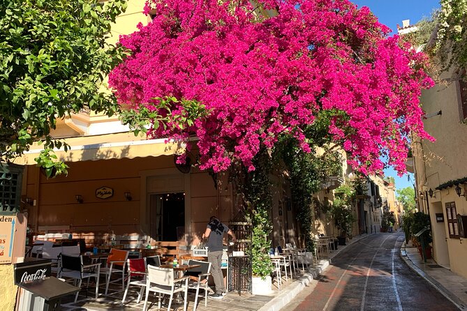Acropolis & Plaka Neighbourhood Private Tour with Licensed Expert - Authentic Experiences Backed by Excellent Reviews