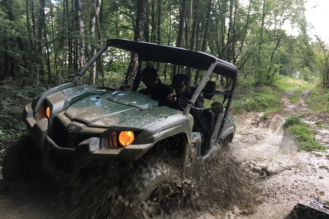 Adventure 1h with a 3-seater Buggy - The Buggy Itself: Simple, Safe, and Fun