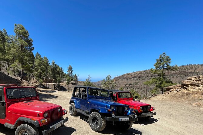 Adventure Driving Jeep Tour in Gran Canaria - Final Thoughts