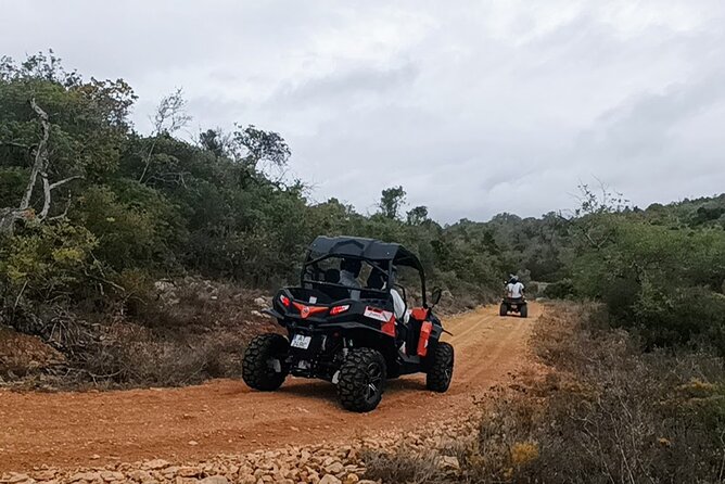 Albufeira 1.5 hour Off-Road Tour Buggy Adventure Tour - Practical Details and Tips for Participants