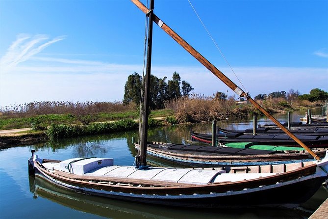 Albufera: Lake, Paella and Birdwatching - Verdict: Is It Worth It?