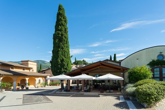 Amarone 2005 Wine Experience - Final Thoughts