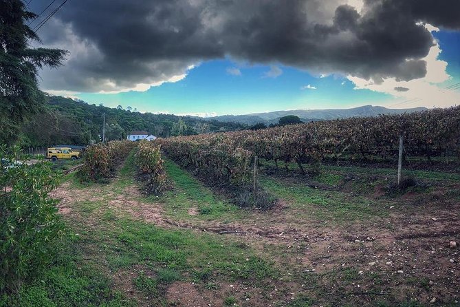 Arrábida Palmela Azeitão Private Tour - W/ Wine Tasting & Tapas - FAQ