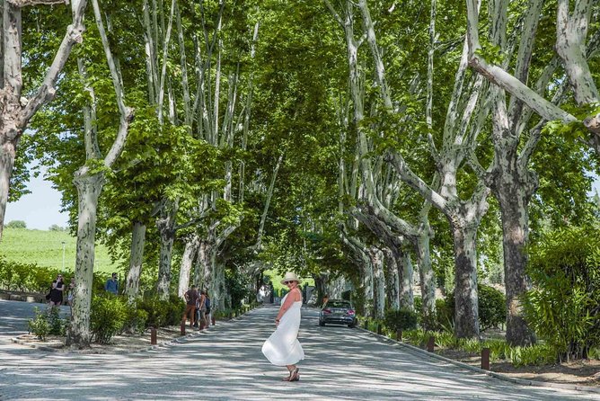 Authentic Douro Valley - small-Group Tour (Max 7) - Why This Tour Offers Good Value