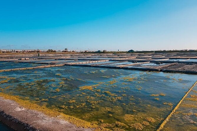 AVEIRO AND NEW COSTA: Private Full-Day Tour from Porto - Who Will Love This Tour?