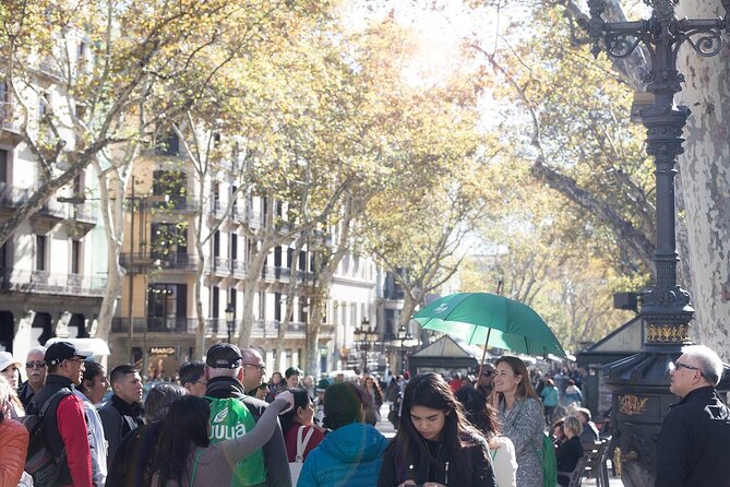 Barcelona Highlights Guided Tour with Monjuic Cable Car - What the Reviews Say: The Good & The Not-So-Good