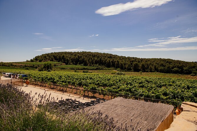 Barcelona Penedes Horseback Riding with Wine Tasting and Tapas - Practical Details