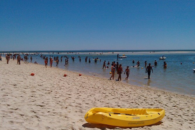 Beach day Region of Setúbal City - Arrábida - The Sum Up: Why Choose This Beach Day Tour?