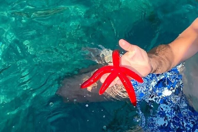 Boat tour Giardini Naxos Taormina Isola Bella Blue Grotto - FAQs