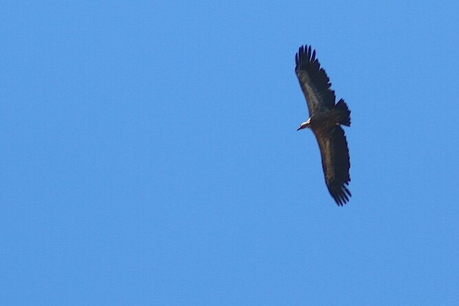 Chania Nature & Villages, White Mountains & Unique Cretan Lunch - Final Thoughts