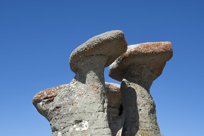 Chauffeur Service in Bucharest - The Itinerary: From Castles to Countryside