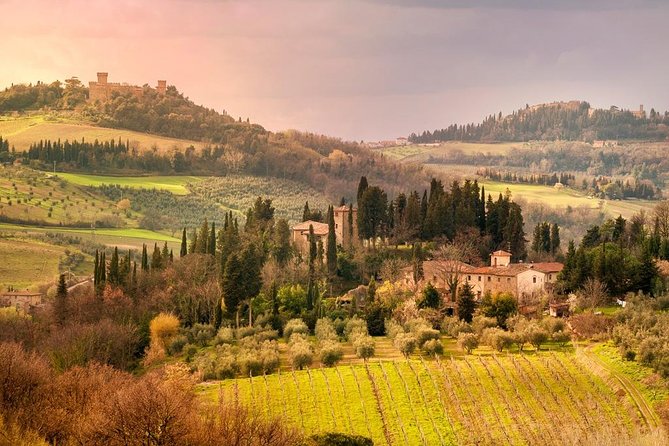Chianti and Castle Small Group Tour from San Gimignano - Who Is This Tour Best For?