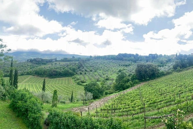 Chianti Vineyards Tours in Private Luxury Van from Florence - What Reviewers Say