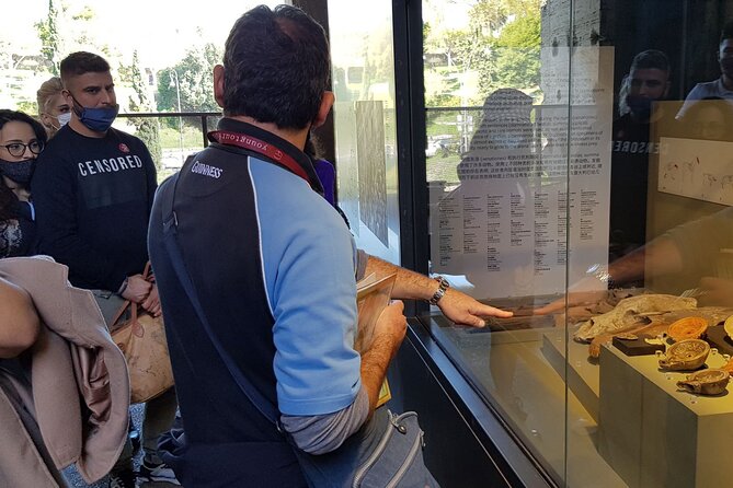 Colosseum Arena Floor Roman Forum and Palatine Hill Live Guide - FAQ: Your Practical Questions Answered