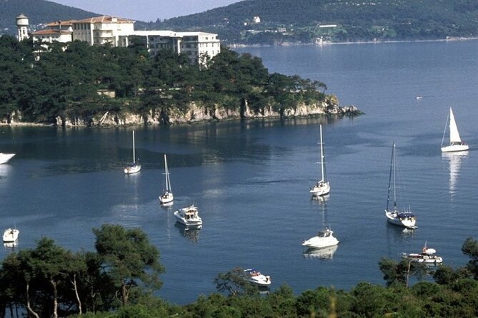 Daily Princes' Islands Tour with Lunch from Istanbul - Who Should Consider This Tour?