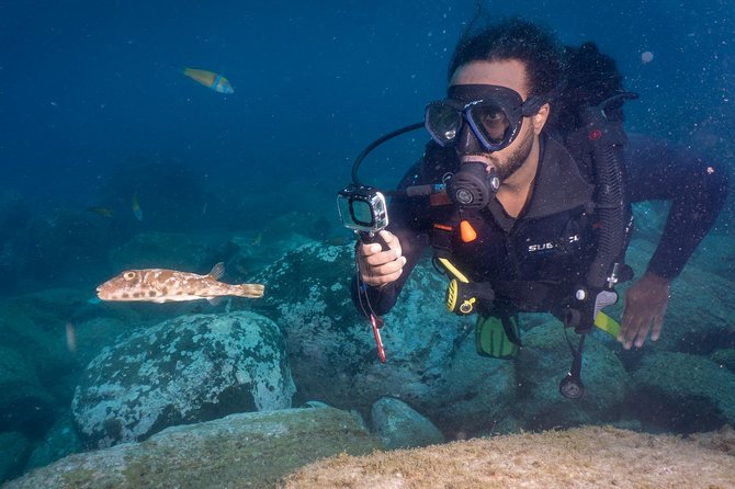 Discover Scuba Diving, Playa de las Americas - Who Should Book This Tour?