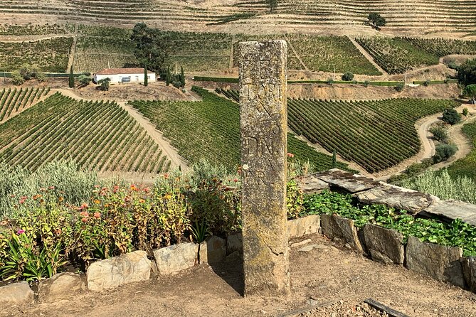 Douro Valley private tour includes wine tasting and boat trip - Whats Included and What’s Not?