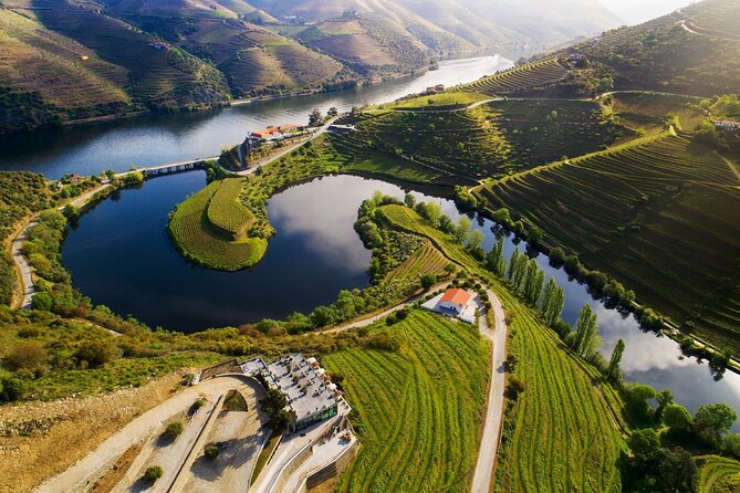 Douro Valley Private Tour with tasting included - Free Time in Peso Da Régua