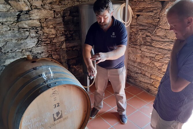 Douro Valley Wine Experience with a Sommelier - The Price and Overall Value