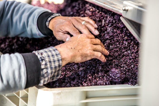 Dubrovnik Private Walking Tour and Wine - Who Would Love This Experience