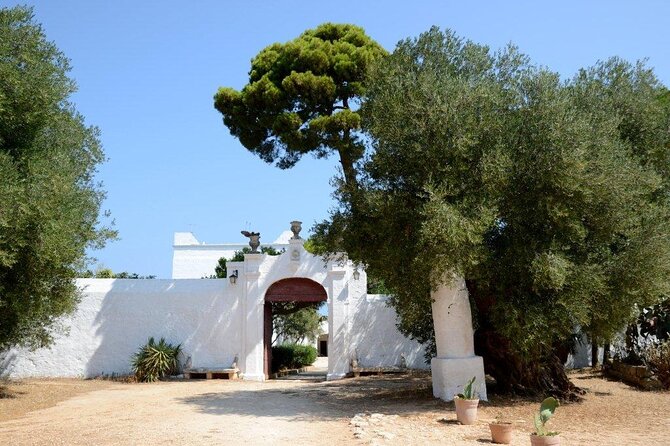 EVO Oil Tasting in Masseria in Ostuni - Value and Cost: Is It Worth It?