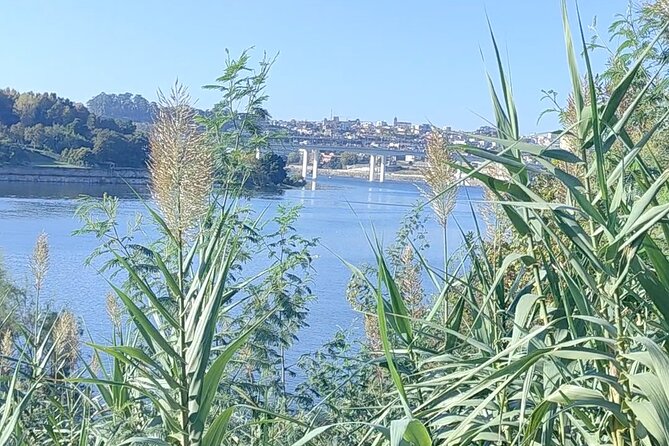 Excursion in Porto for sport lovers - Who Should Consider This Tour?