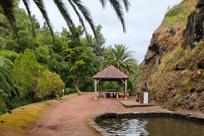 Excursion to Furnas and Nordeste with Cozido das Furnas - Who Will Love This Tour?