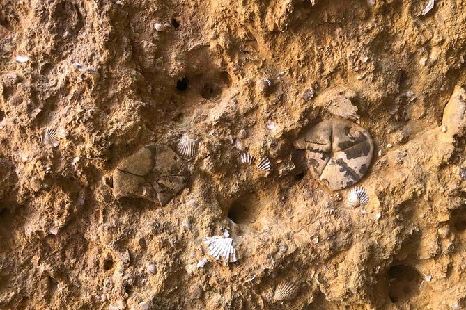 Explore Algarve Caves & Wild Beaches Kayak Tour - Frequently Asked Questions