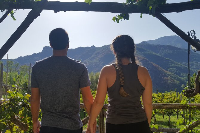 Family or friends Transportation Service for the Experiences - The Sum Up: Who Is This Experience Best For?