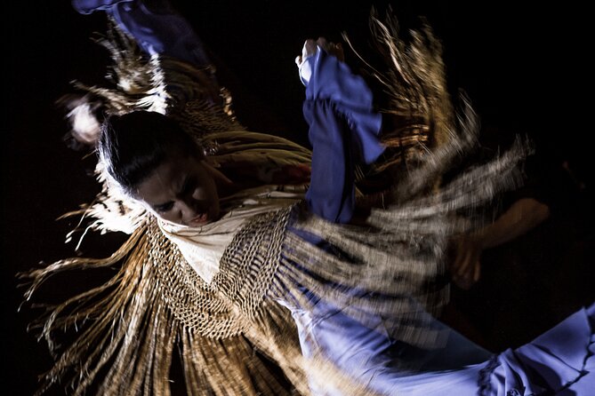 Flamenco Show at Café Ziryab: Madrid - Pros and Cons of the Café Ziryab Flamenco Show