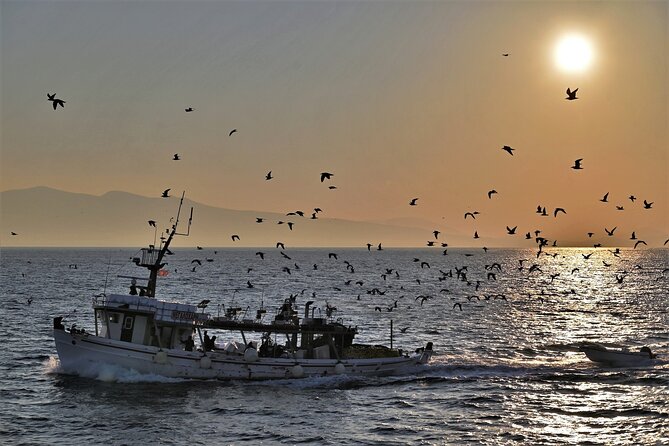 From Athens: Aegina Island E-bike & walking day tour - Who Will Love This Tour?