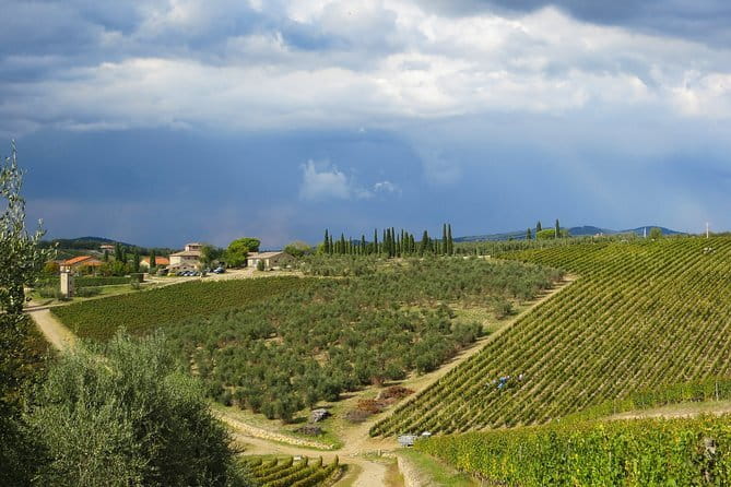 From Florence to Siena - San Gimignano & Pisa by private minivan - Final Thoughts: Who Will Enjoy This Tour?