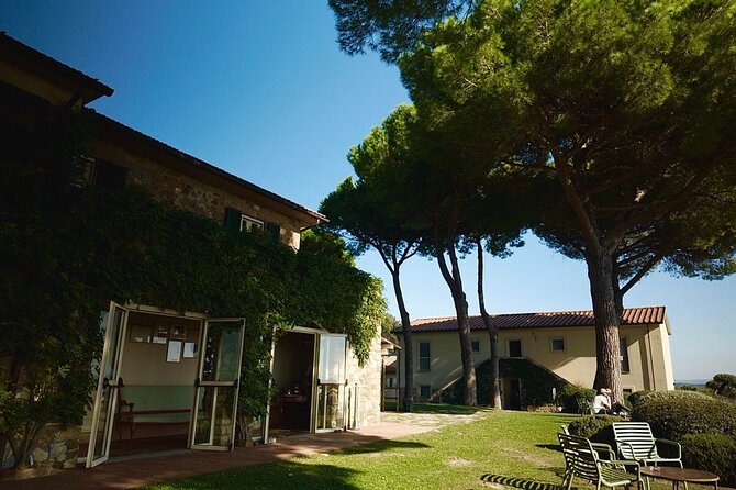 From Rome: Hidden Tuscany Day Trip with Lunch and Wine Tastings - Practicalities and Considerations