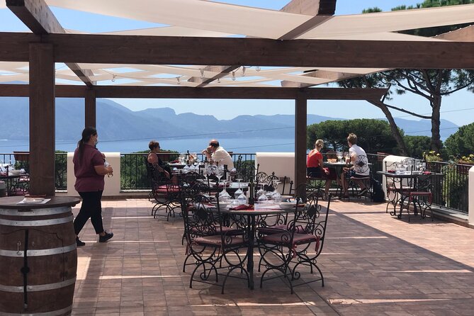 Full Day Private Tour in Pompeii, Vesuvio and Sorrento - Who Will Appreciate This Tour?