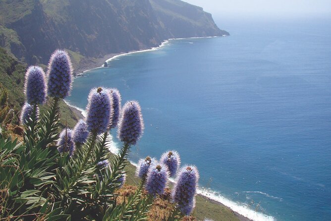 Full Day Tour of the West Zone of Madeira - Transportation & Duration