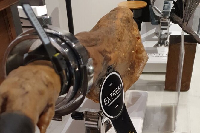 Gourmet Tasting of Iberian Ham Oil and Wine Small Group in Madrid - Who Will Enjoy This Tour?