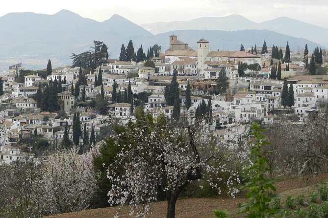Granada Day Trip: Alhambra & Nazaries Palaces from Seville - The Cost and Value