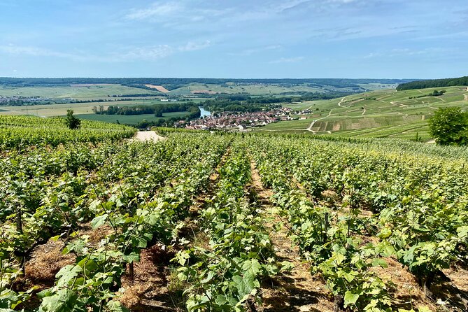 GRAND VINTAGE Moet et Chandon Veuve Clicquot Cellars & Tastings - Frequently Asked Questions