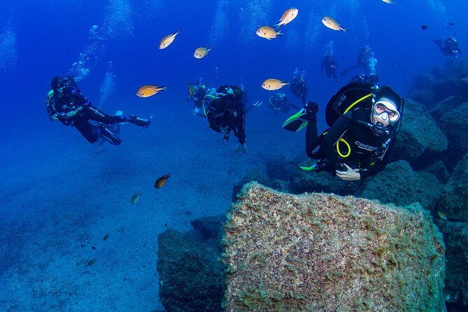 Guided Immersion from Santa Cruz de Tenerife - Facilities and Group Size