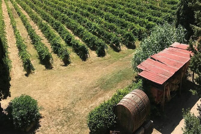 Guided tour with wine tasting and local organic products - Final Thoughts: Who Should Consider This Tour?