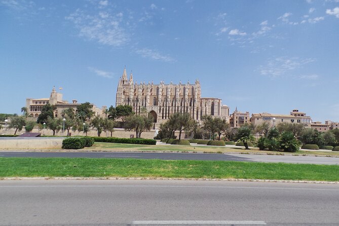 Half Day Trike Tour from Paguera - FAQ