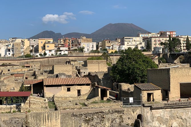 Herculaneum Guided Tour with Your Archaeologist - Final Thoughts