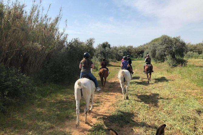 Horse Riding Excursion from Seville - What to Wear and Prepare