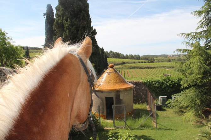 Horseback Ride, Penedes, Wine Tasting & Tapas Private Tour - Who Will Love This Tour?