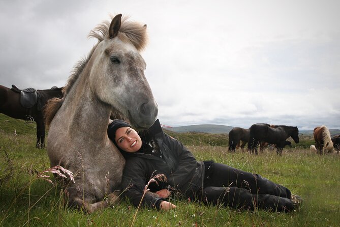 Horseback Riding Tour in Iceland - Final Verdict