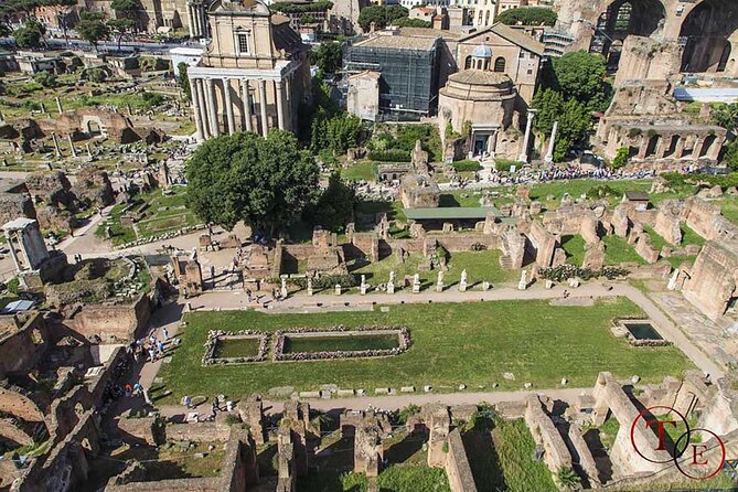 Houses of Augustus and Livia Private Tour with Roman Forum and Palatine Hill - Practical Tips